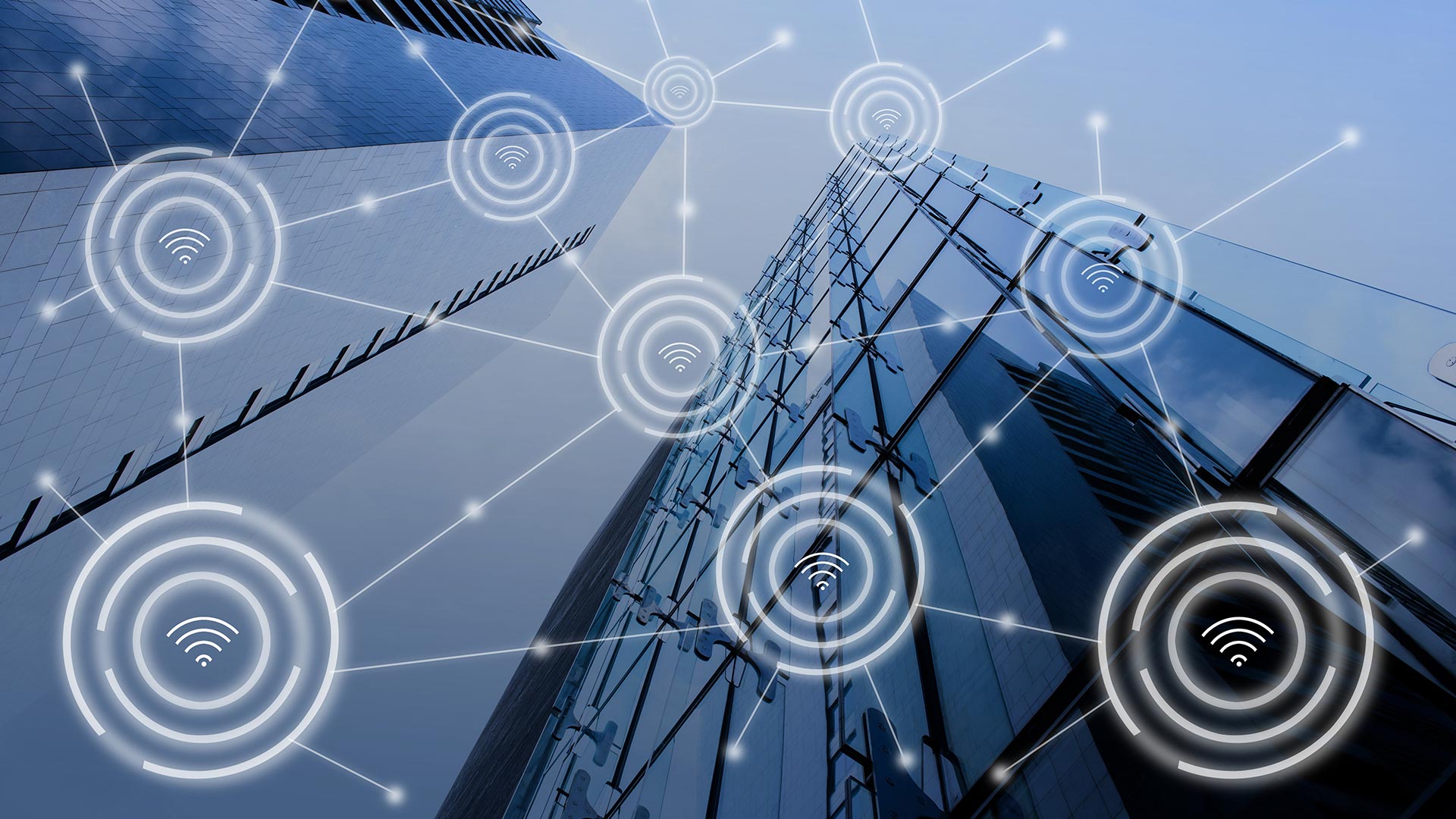 Logical Wireless – The Logical Choice!